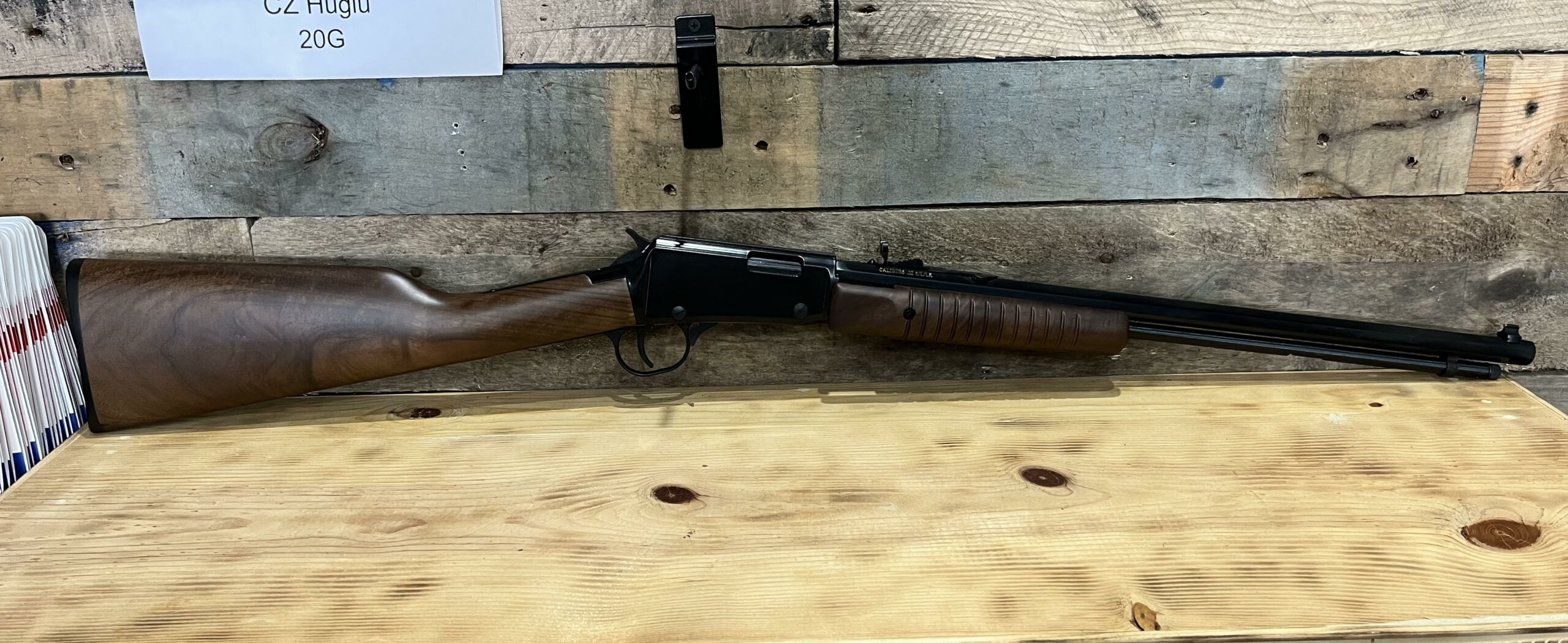 Pump Action 22 Rifle